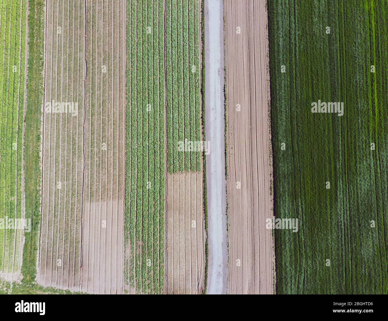 Narrow field road running through agricultural, cultivated landscape ...