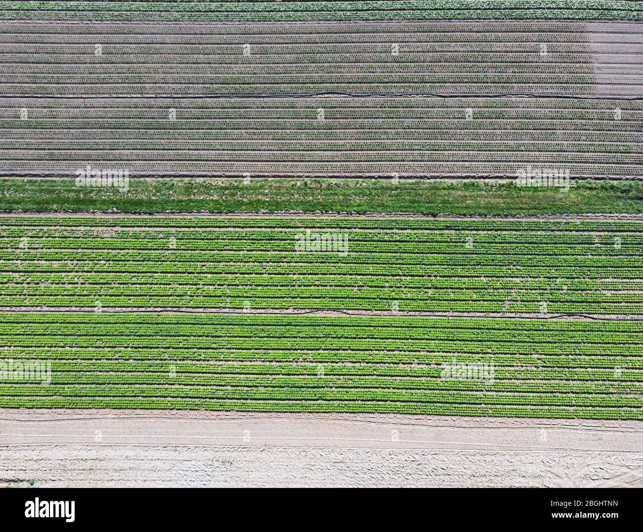 Cultivated, plowed crop field photographed from above, eagle eye view ...