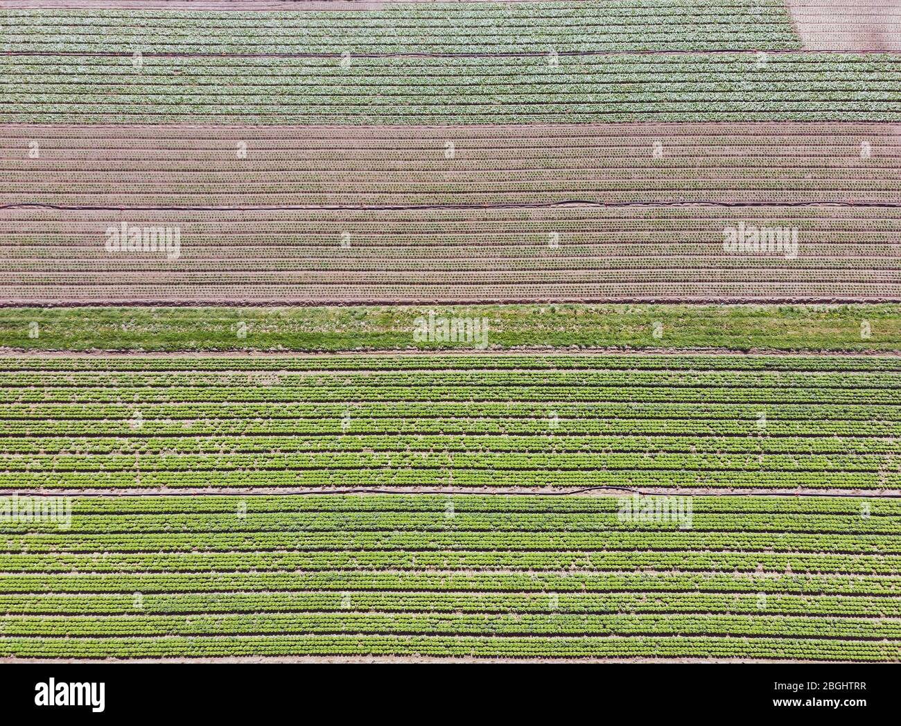 Cultivated, plowed crop field photographed from above, eagle eye view ...