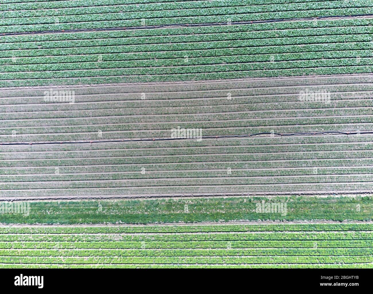 Cultivated, plowed crop field photographed from above, eagle eye view ...