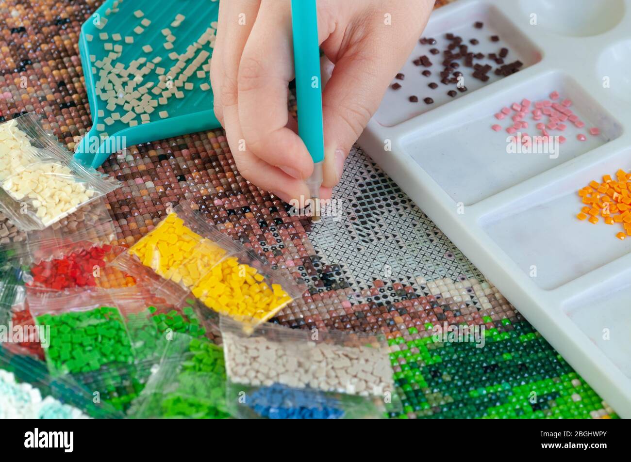 Collecting diamond embroidery, diamond mosaic. Colored crystals Stock ...