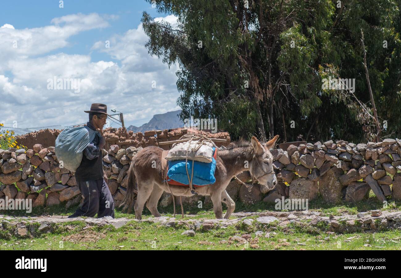 Man carrying sack over shoulder following his donkey in countryside ...