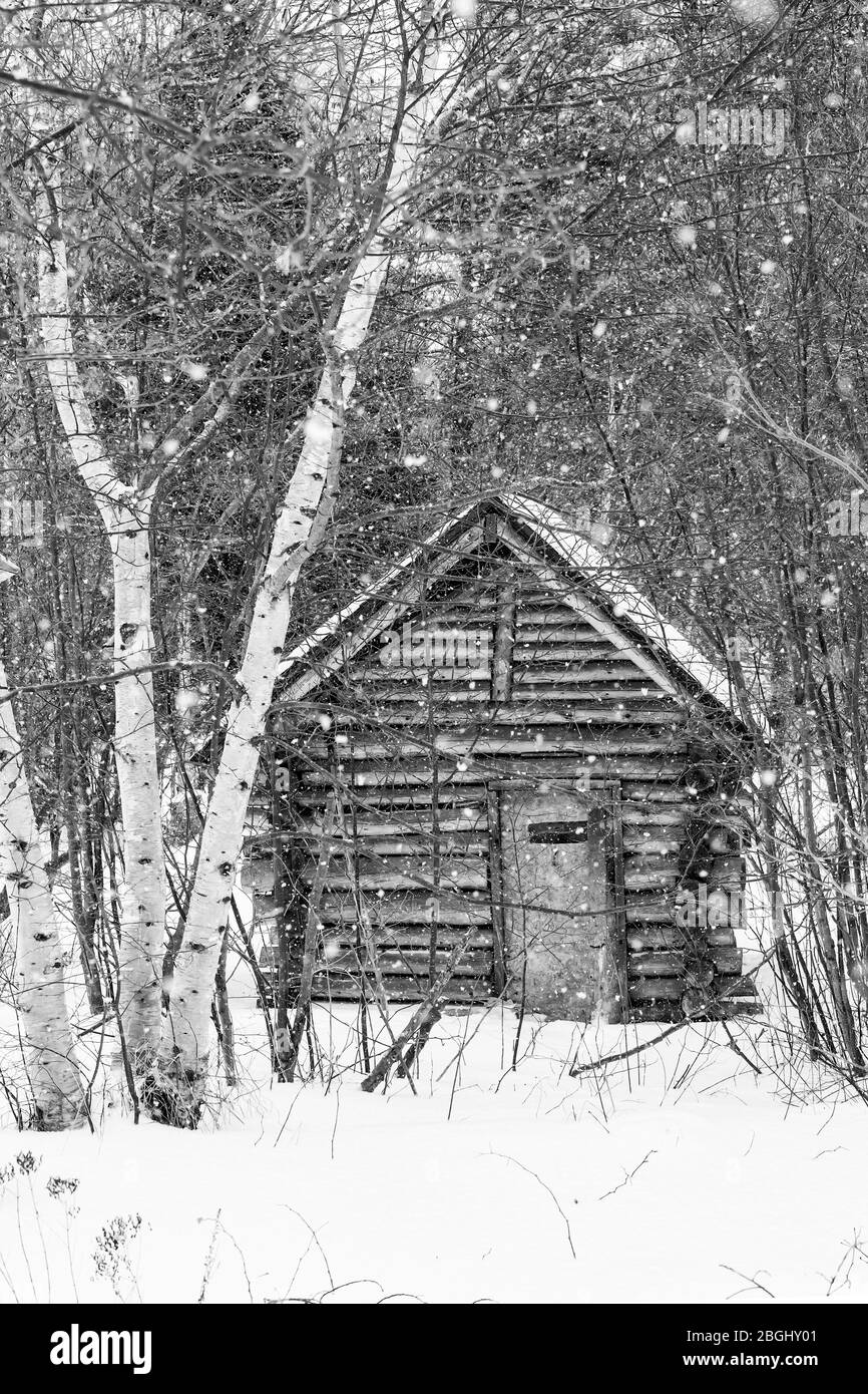 Cabin In The Woods Winter Drawing