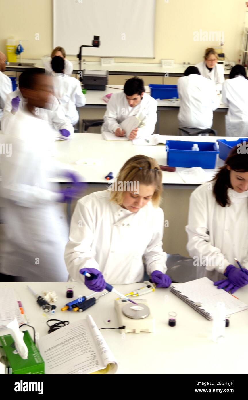 A busy laboratory. (Models Released Stock Photo - Alamy