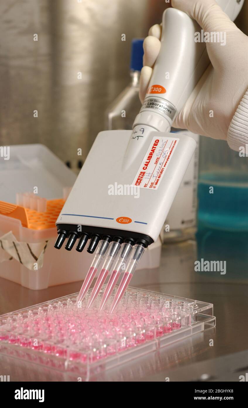 Multichannel pipettor hi-res stock photography and images - Alamy