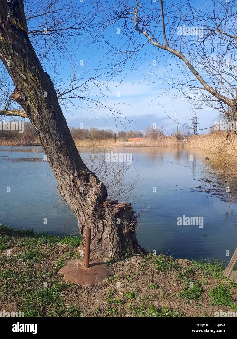 Old oak tree pond lake hi-res stock photography and images - Alamy
