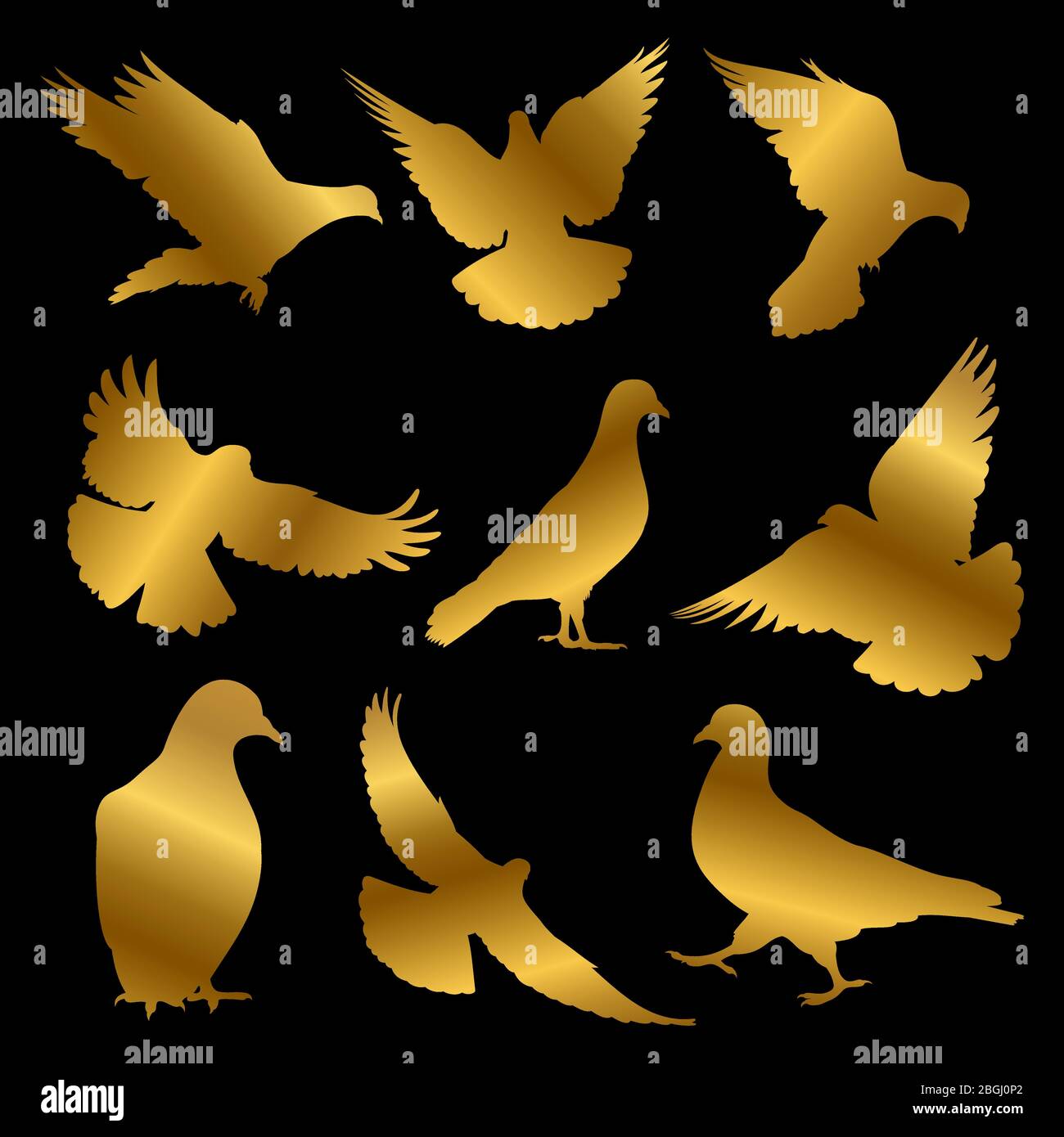 Golden dove silhouettes of set isolated on black background. Vector ...