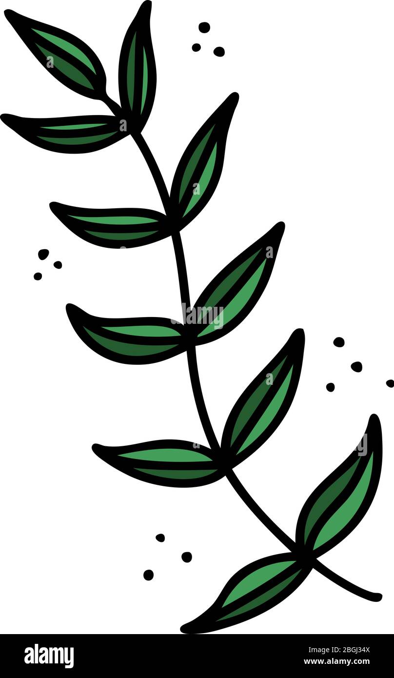 tattoo in traditional style of a laurel Stock Vector Image & Art - Alamy