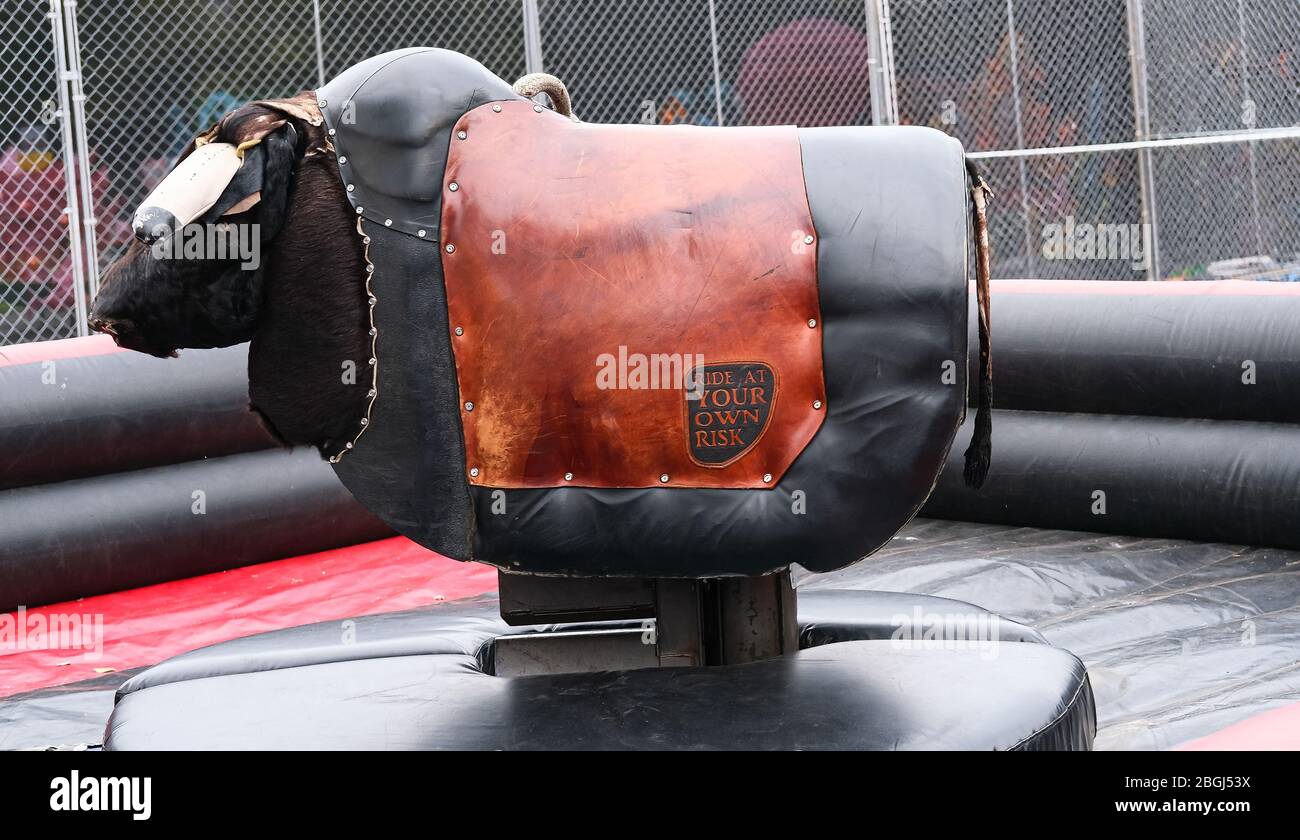 Bull Riding at Carnival Stock Photo - Alamy
