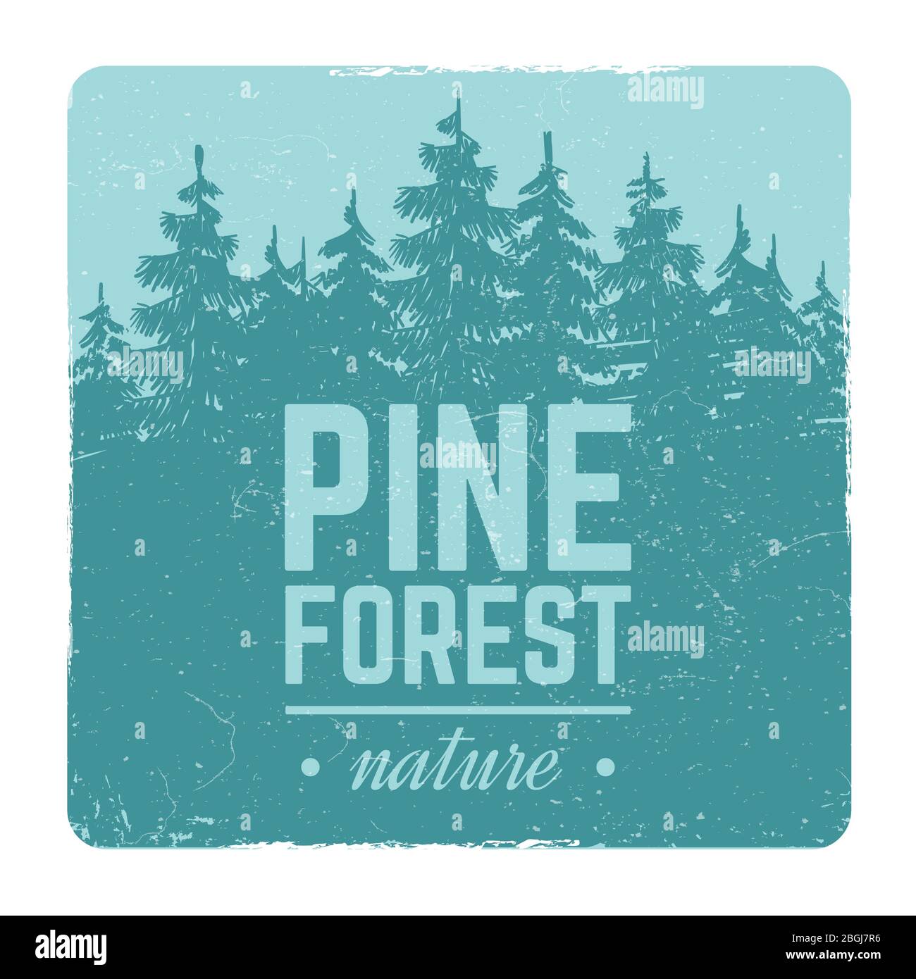 Sketch vintage banner and poster nature pine and fir tree forest vector ...