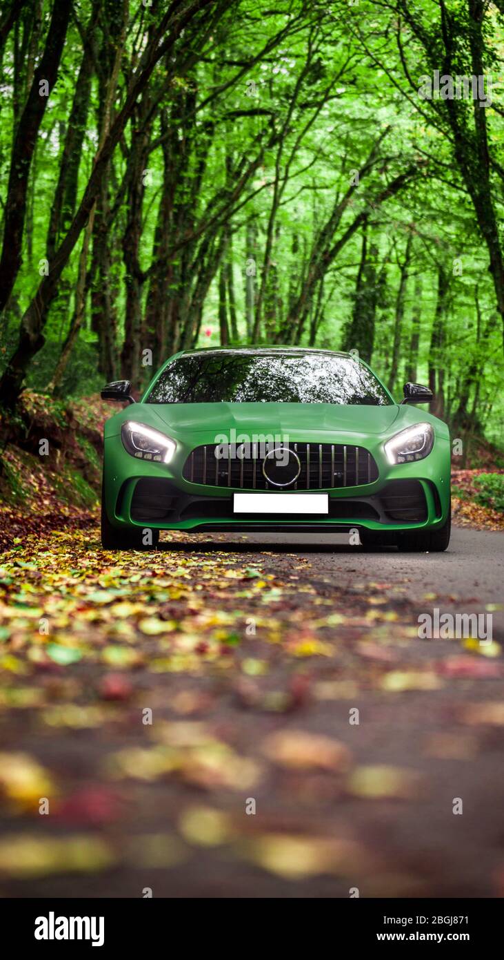 Green sport car in the dark forest, driving on the fall leaves Stock ...