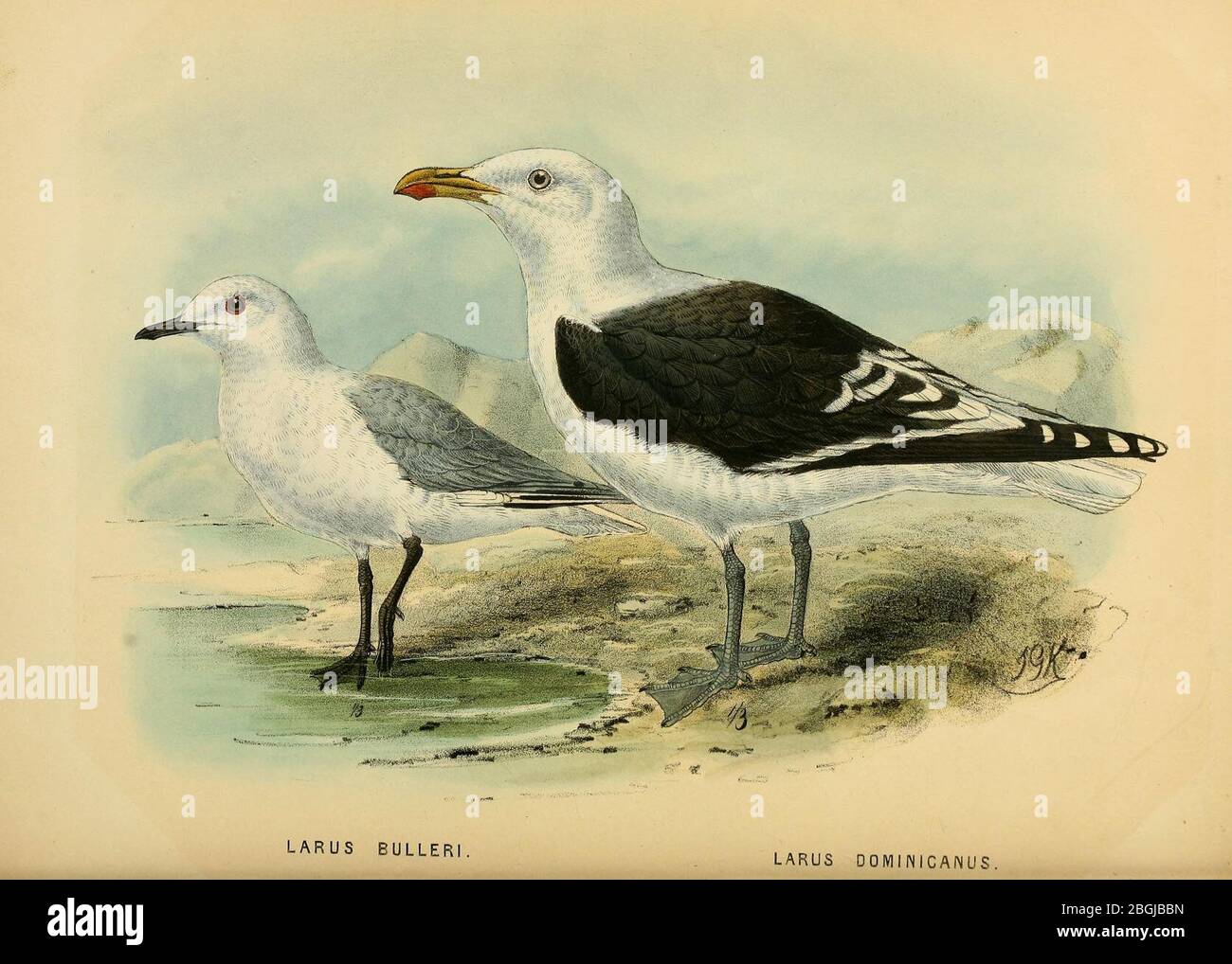 P276 hi-res stock photography and images - Alamy