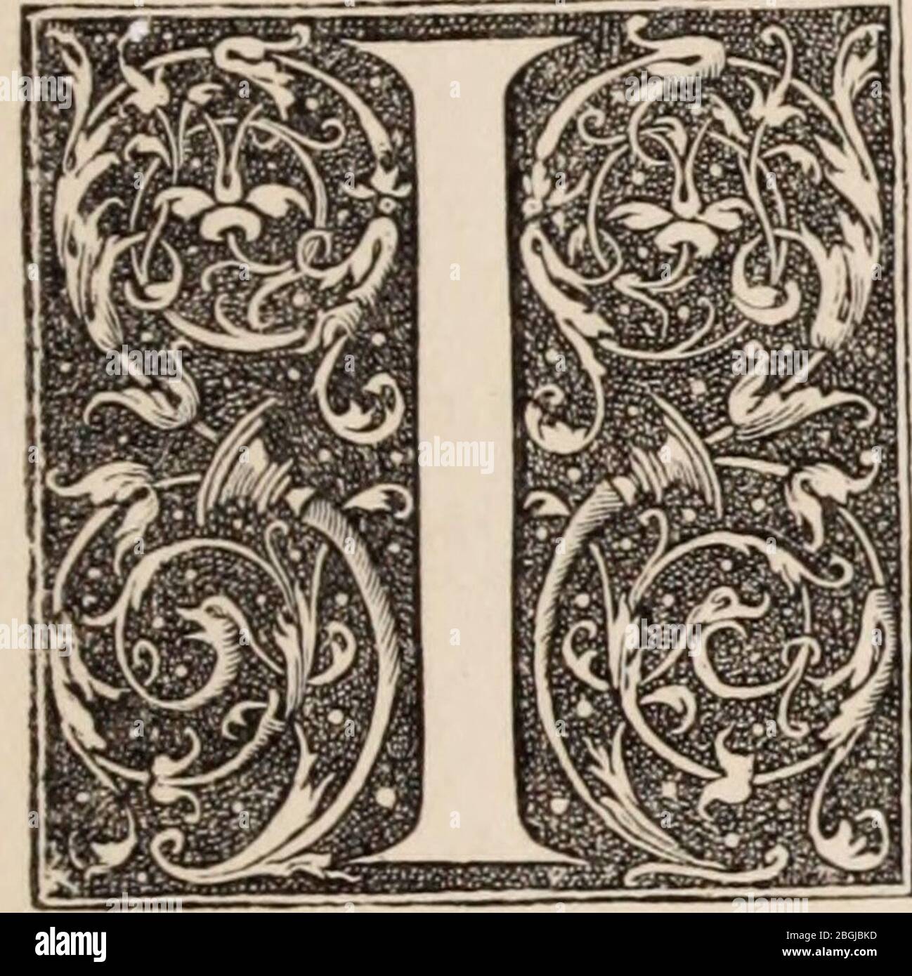 History of Wood Engraving 0047 Stock Photo - Alamy