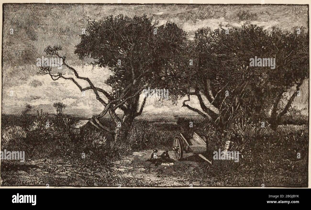 History of Wood Engraving 0191 Stock Photo - Alamy