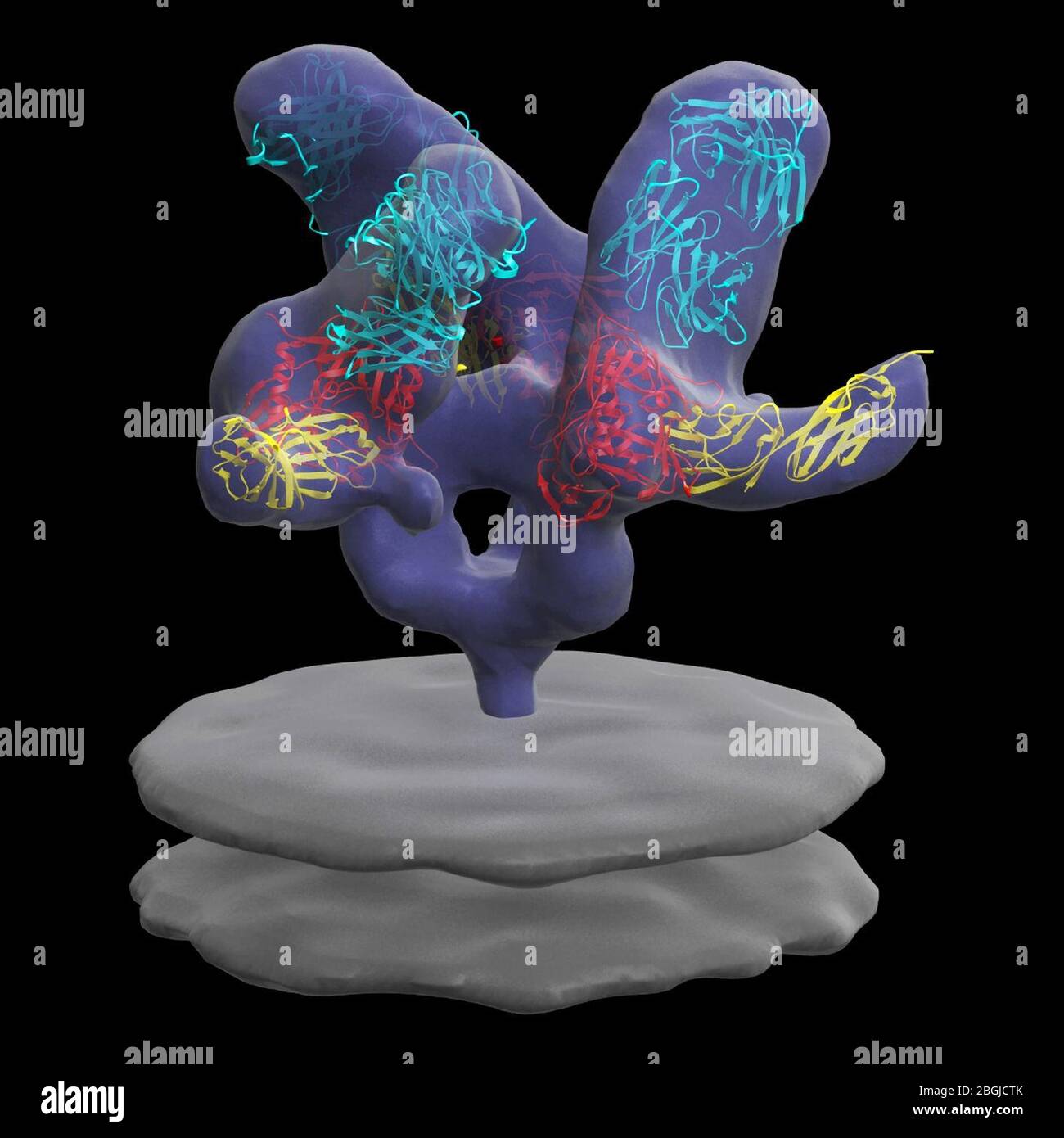 Spike complex hi-res stock photography and images - Alamy