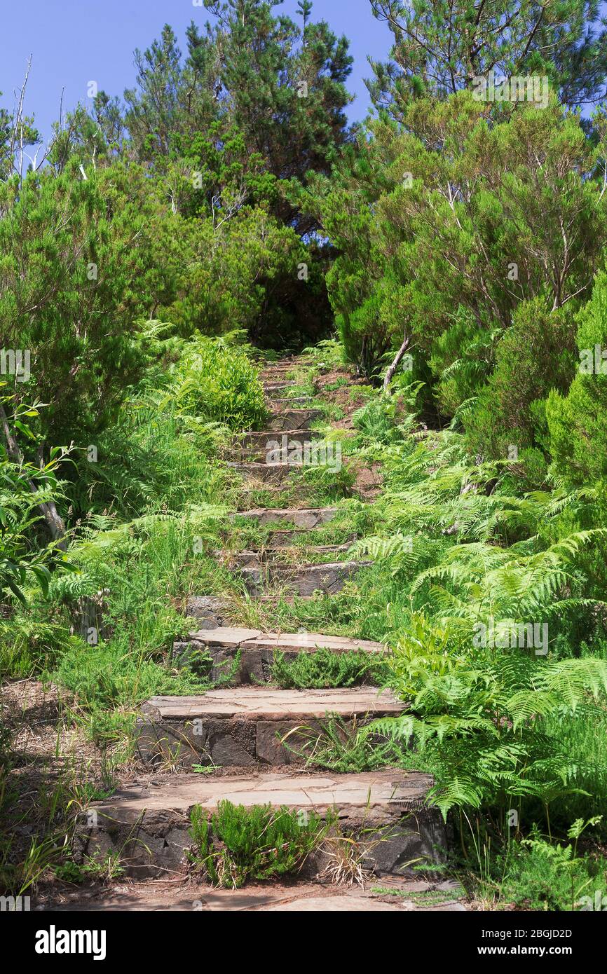 Old staircase on hiking trail hi-res stock photography and images - Alamy