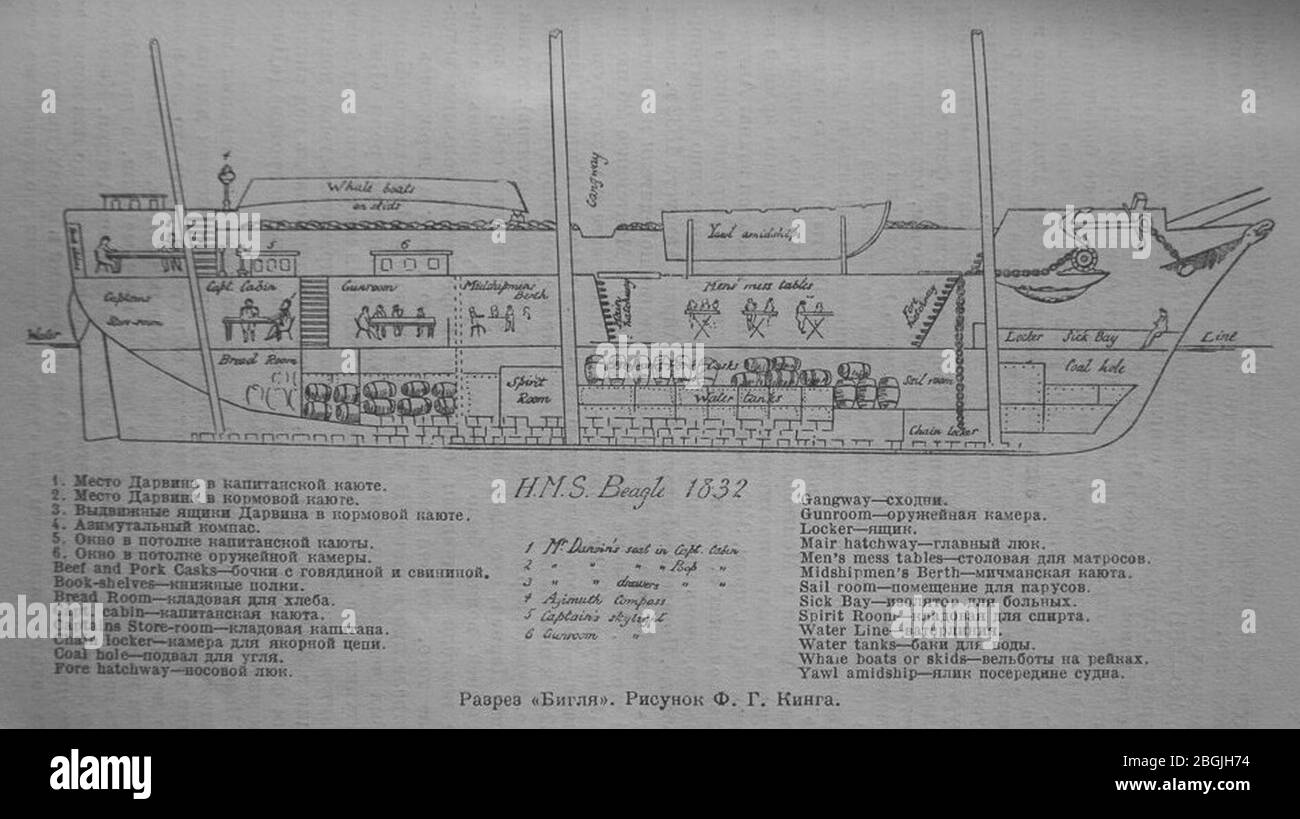 HMS Beagle 1832 longitudinal section Stock Photo - Alamy