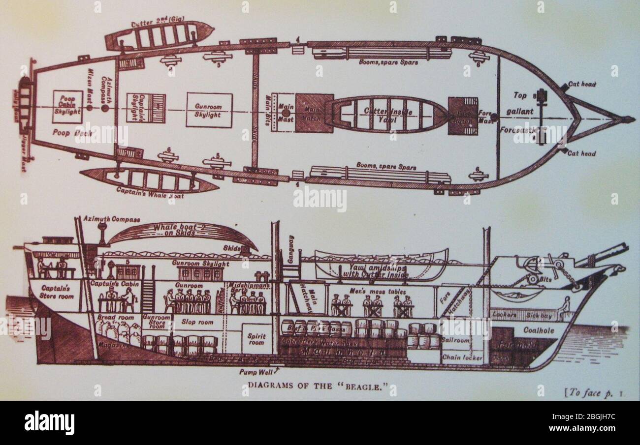 HMS Beagle diagrams Stock Photo - Alamy