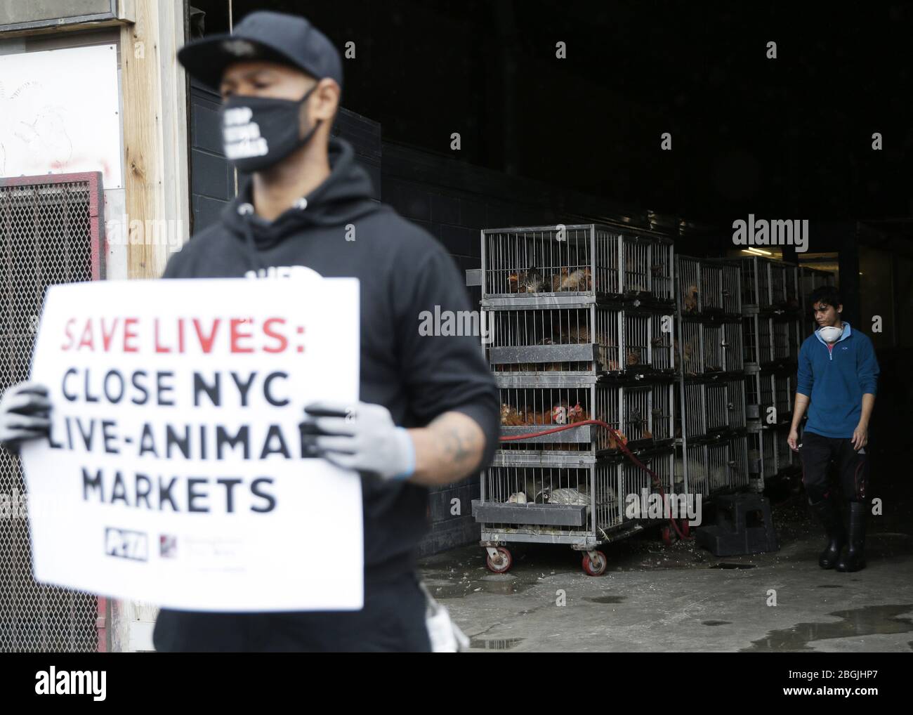 Peta edpic hi-res stock photography and images - Alamy