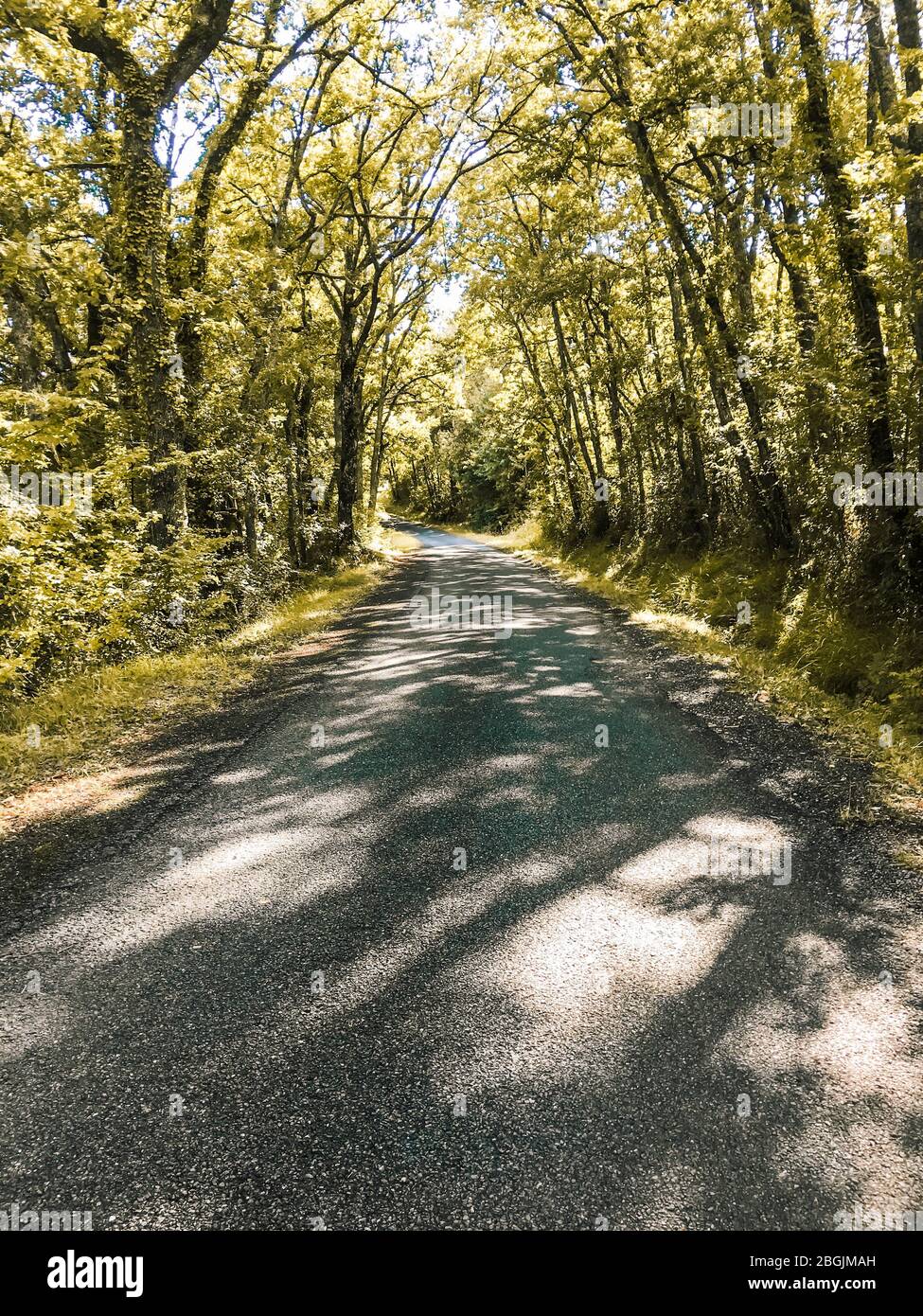 Surrounded trees hi-res stock photography and images - Alamy