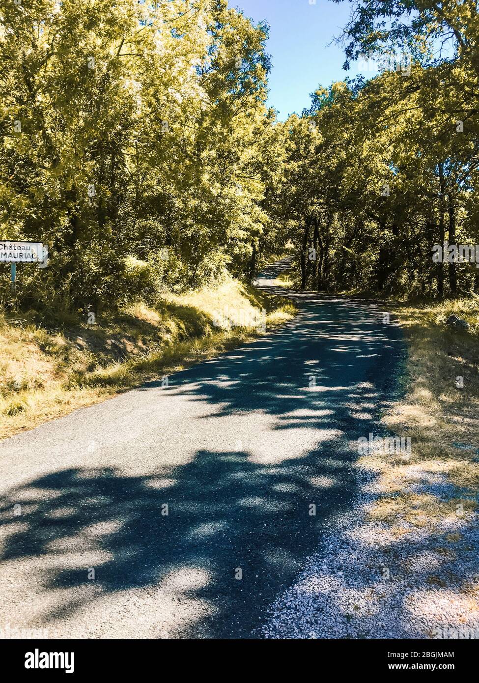 road with shadows of tree shapes surrounded by trees Stock Photo - Alamy