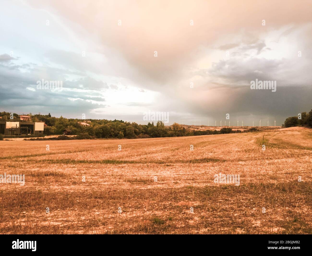 Mowed field hi-res stock photography and images - Alamy