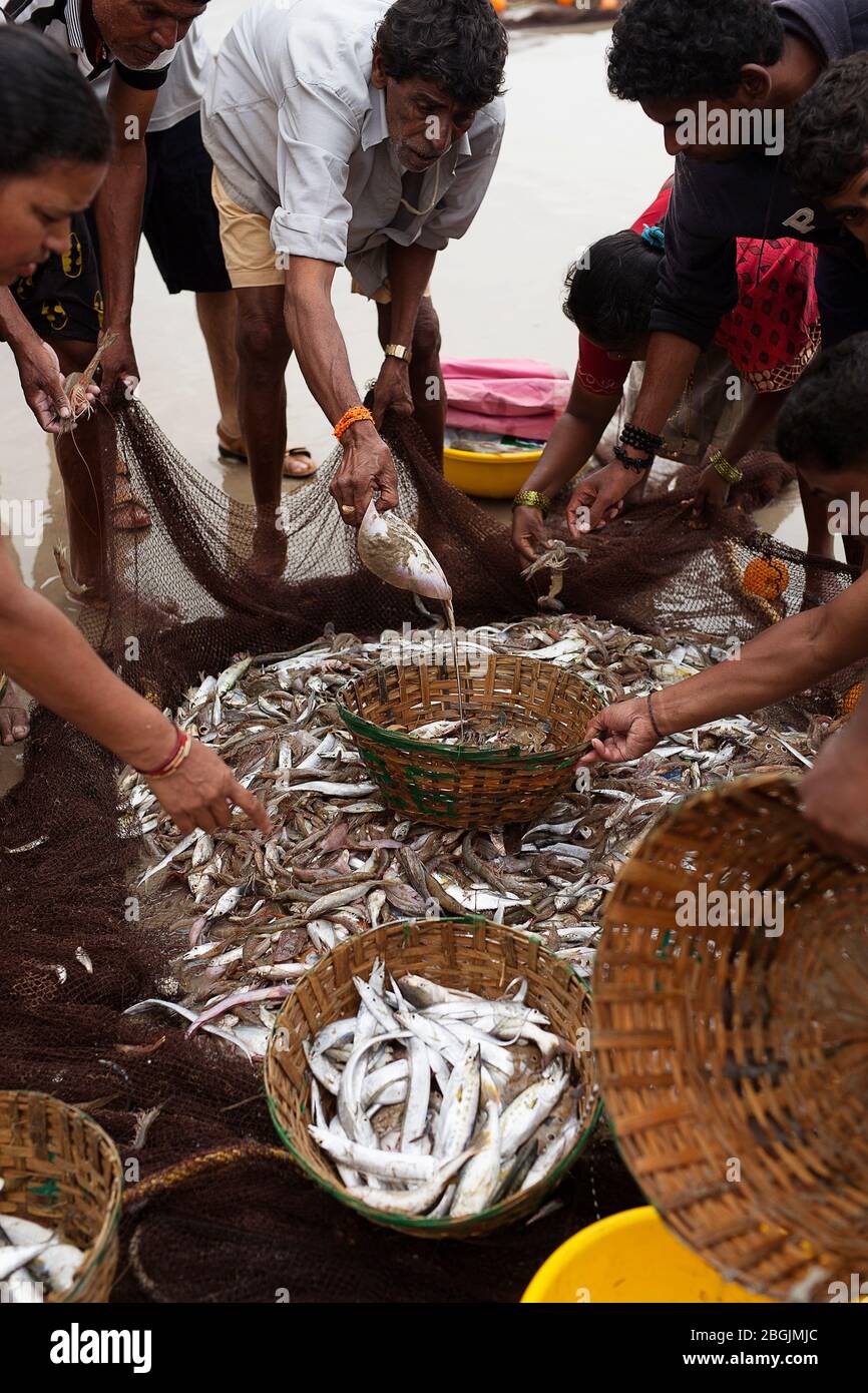 Share fisherman hi-res stock photography and images - Alamy