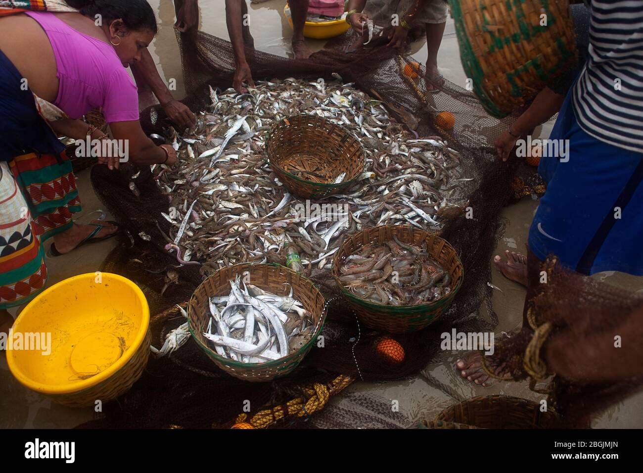 Share fishing hi-res stock photography and images - Alamy