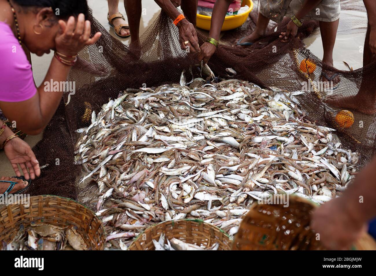 fishermen share the fish they caught Â Stock Photo - Alamy