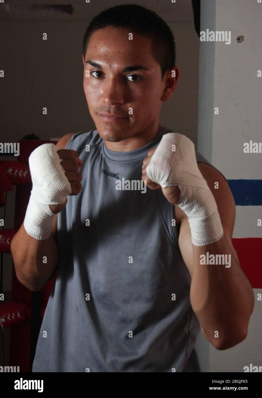Juan Francisco Estrada. Mexican professional boxer, professional boxer ...