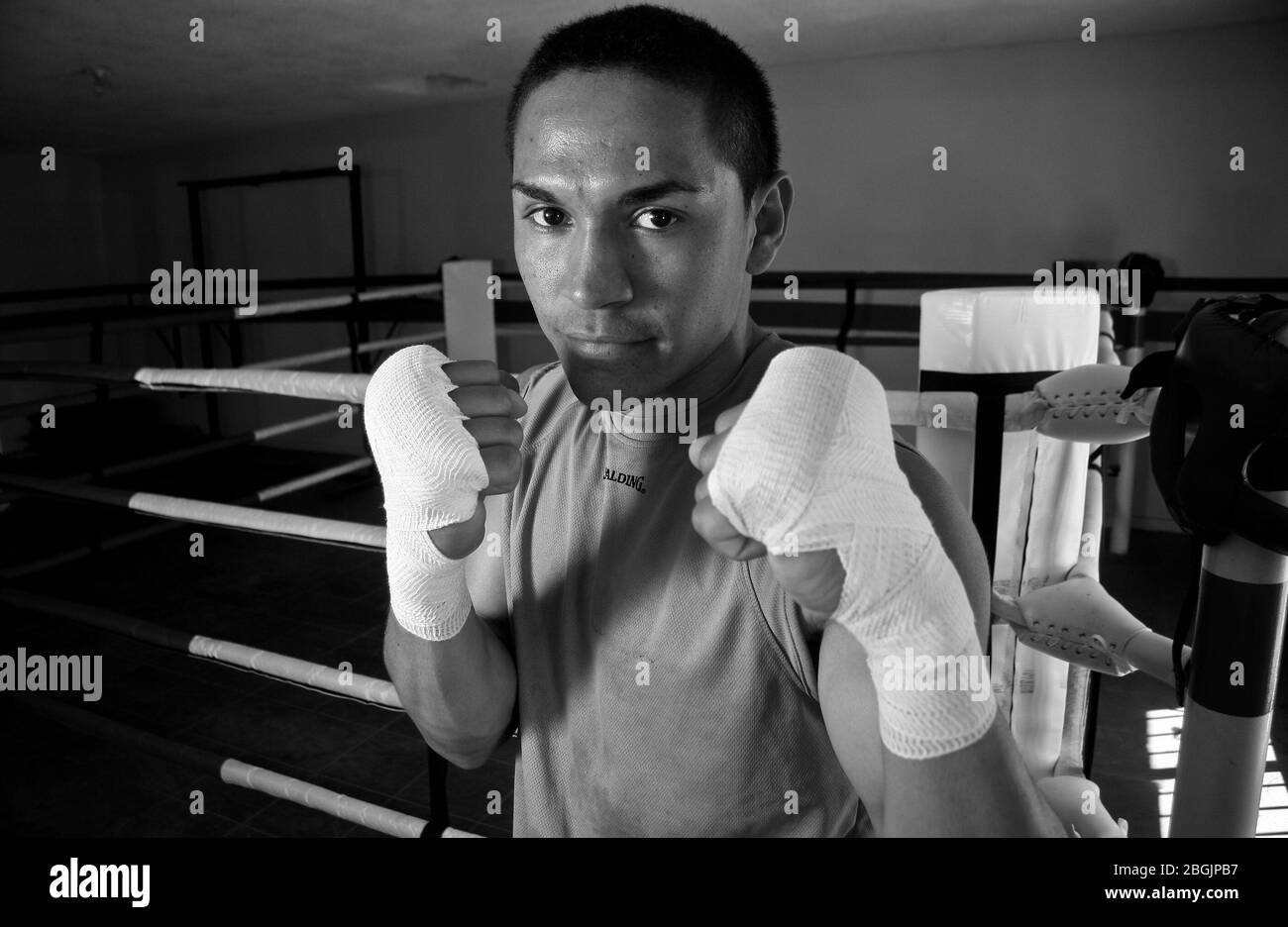 Juan Francisco Estrada. Mexican professional boxer, professional boxer ...