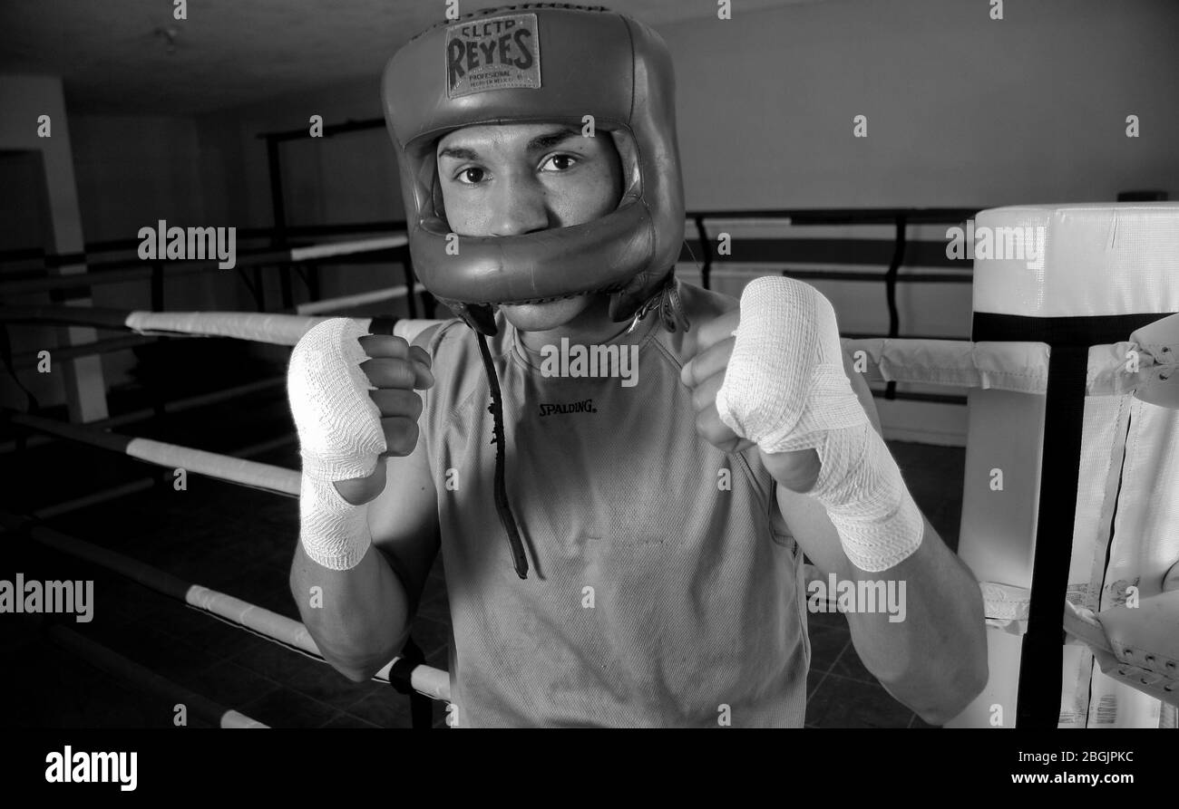 Juan Francisco Estrada. Mexican professional boxer, professional boxer ...