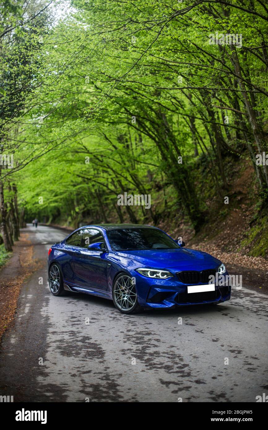Blue sedan parked in the romantic forest under green trees Stock Photo ...