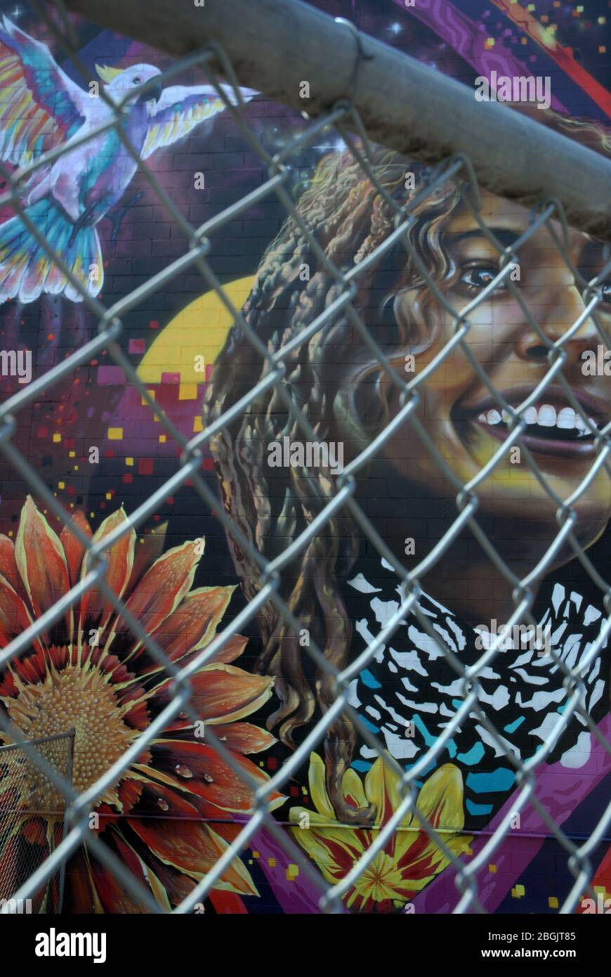 Mural, West End, Brisbane, Queensland, Australia Stock Photo - Alamy