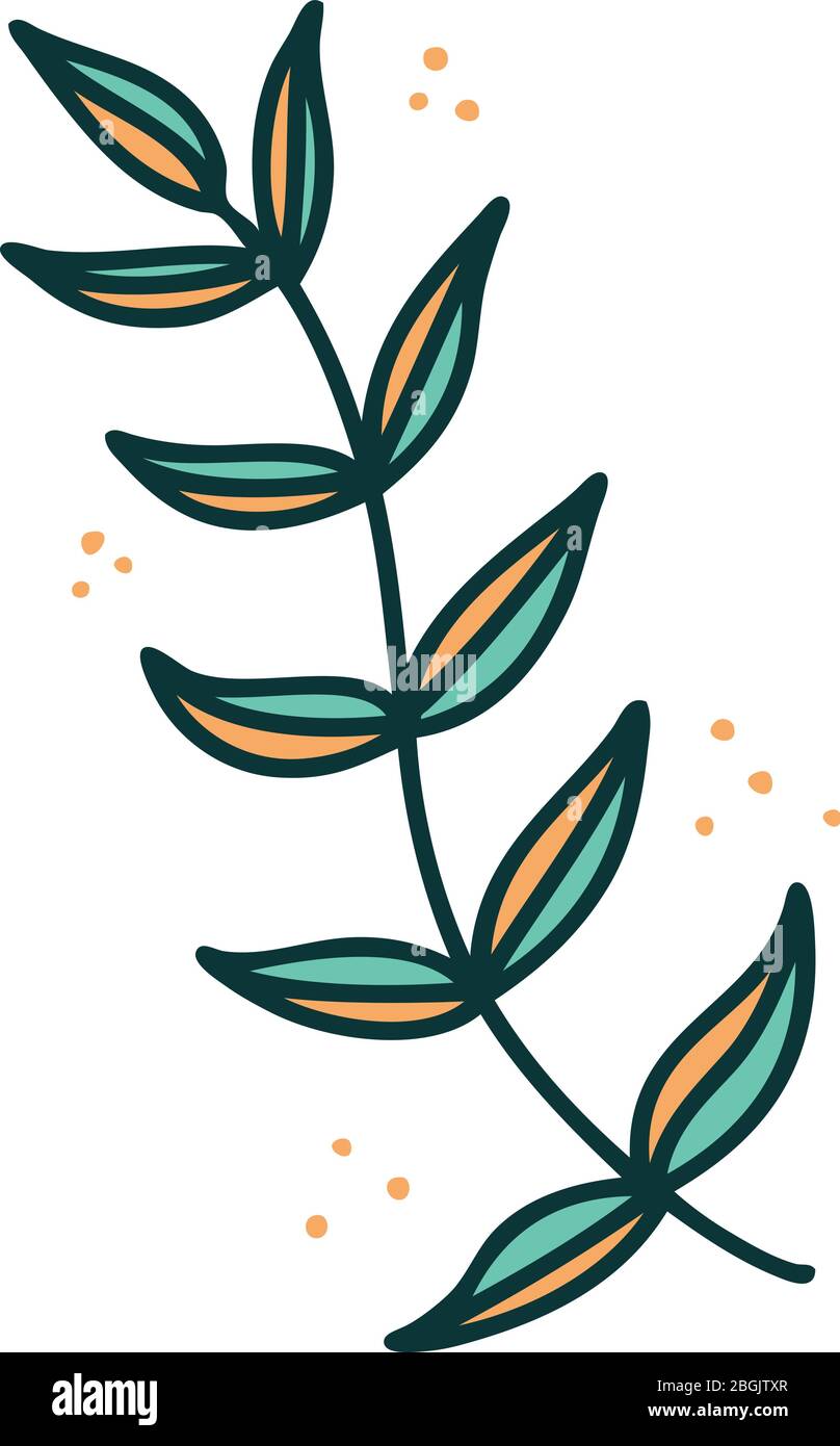 Laurel shrub Stock Vector Images - Alamy