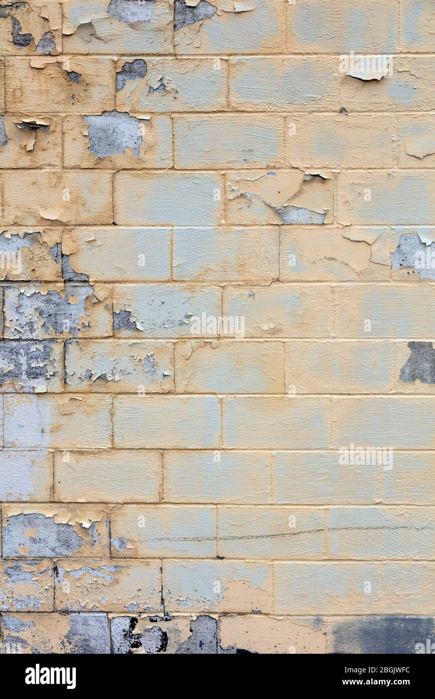Brick wall, by James D Coppinger/Dembinsky Photo Assoc Stock Photo - Alamy