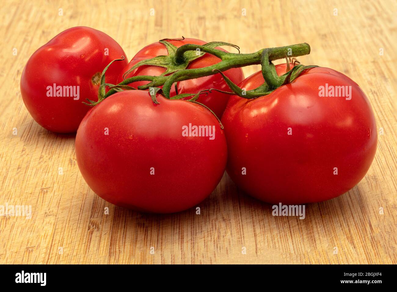 Vine harvested tomatoes hi-res stock photography and images - Alamy