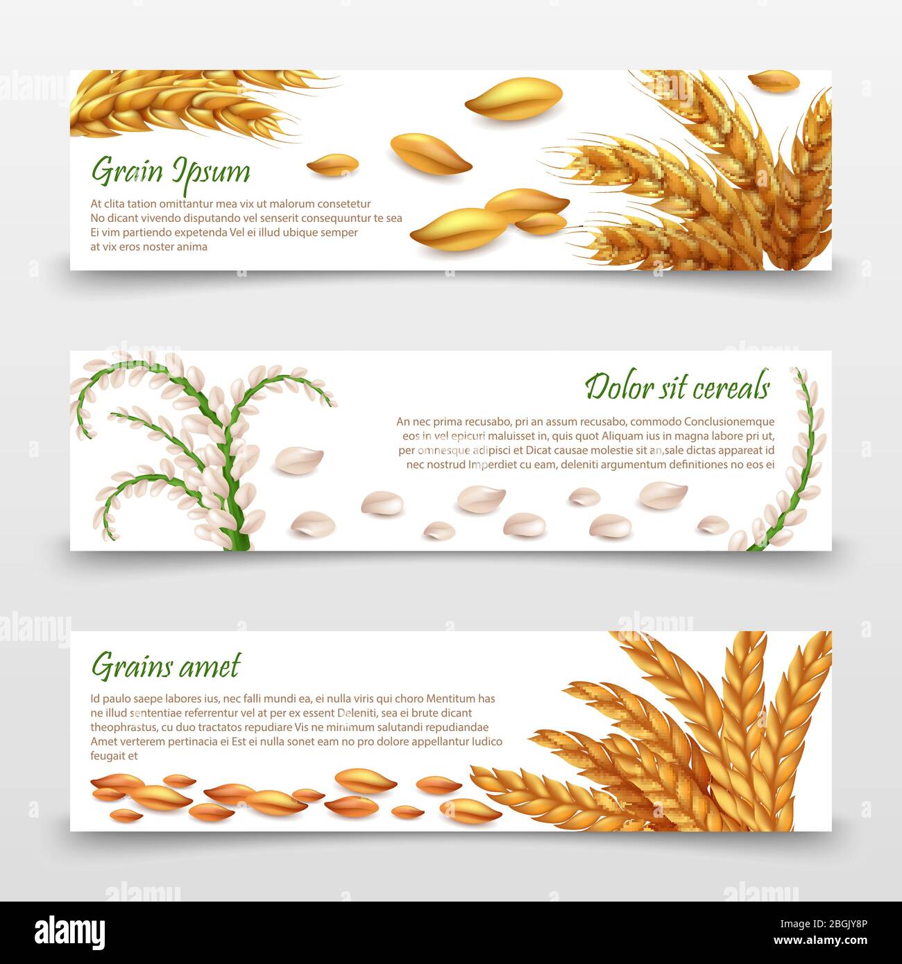 Design banner wheat grains rice hi-res stock photography and images - Alamy