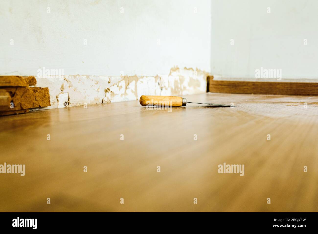 Skirting board on a wall damaged by mold Stock Photo - Alamy