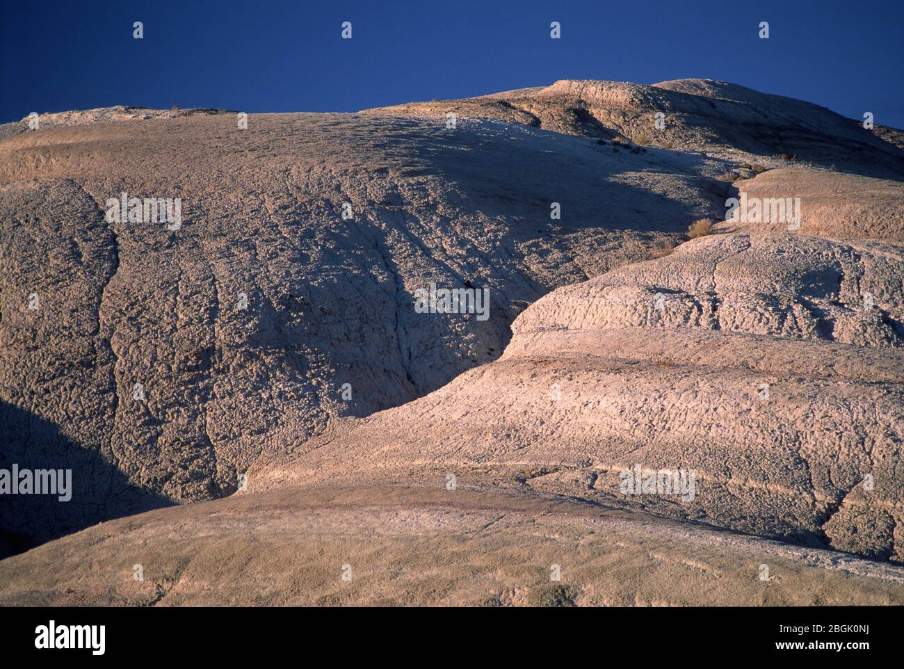 Sheldon National Wildlife Refuge High Resolution Stock Photography and ...