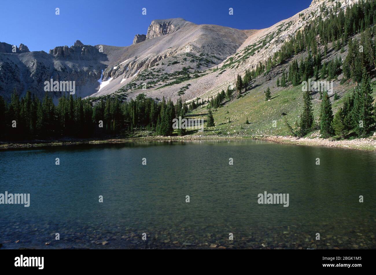 Stella Lake, Great Basin National Park, Nevada Stock Photo - Alamy