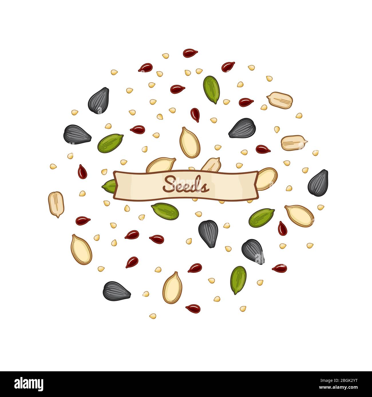 Sketch seeds vector illustration. Sunflower and sesam, flax and pumpkin ...