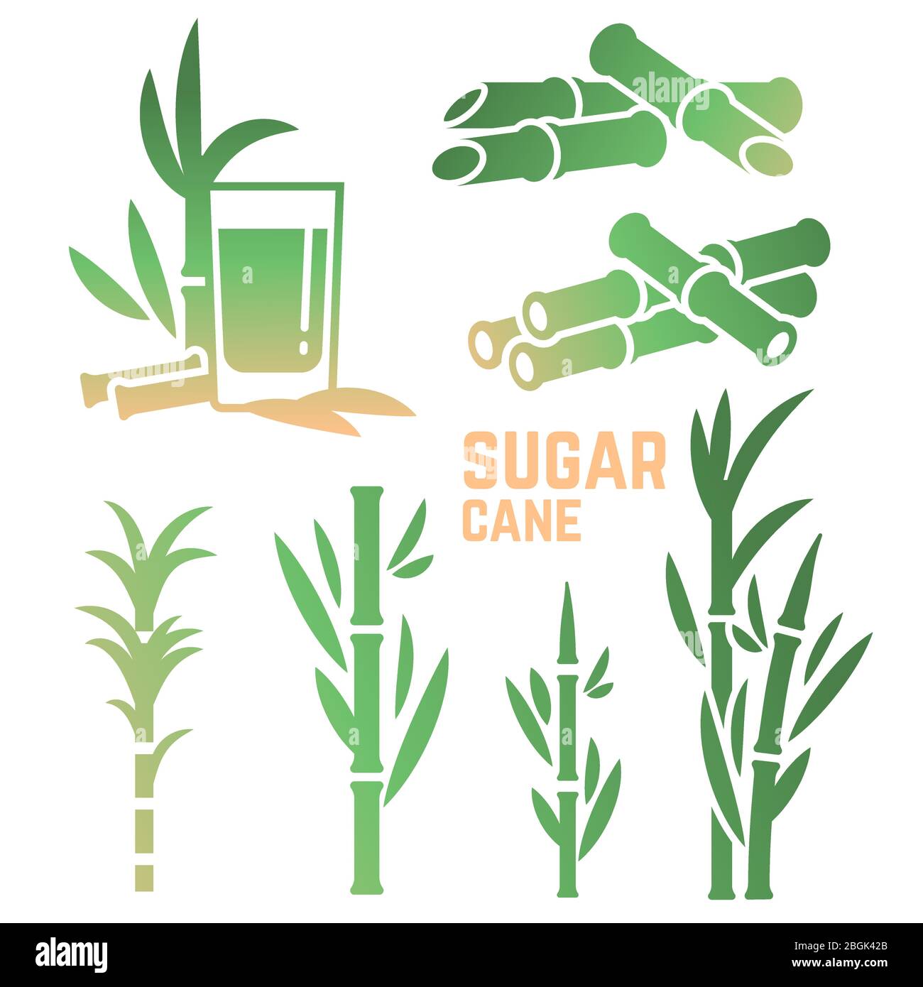 Sugar cane silhouettes icons of collection isolated on white background ...