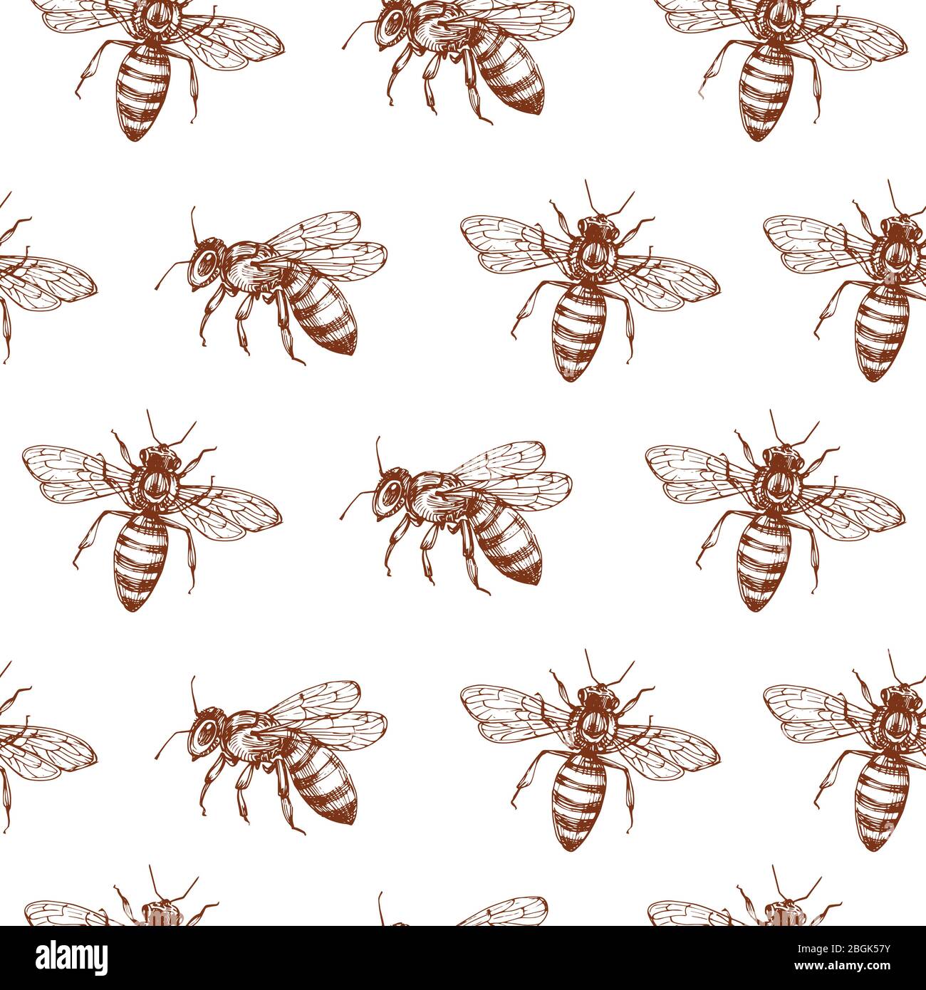 Honey bee seamless pattern. Vintage doodle sketch wrapping vector ... Honey bee seamless pattern. Vintage doodle sketch wrapping vector ...