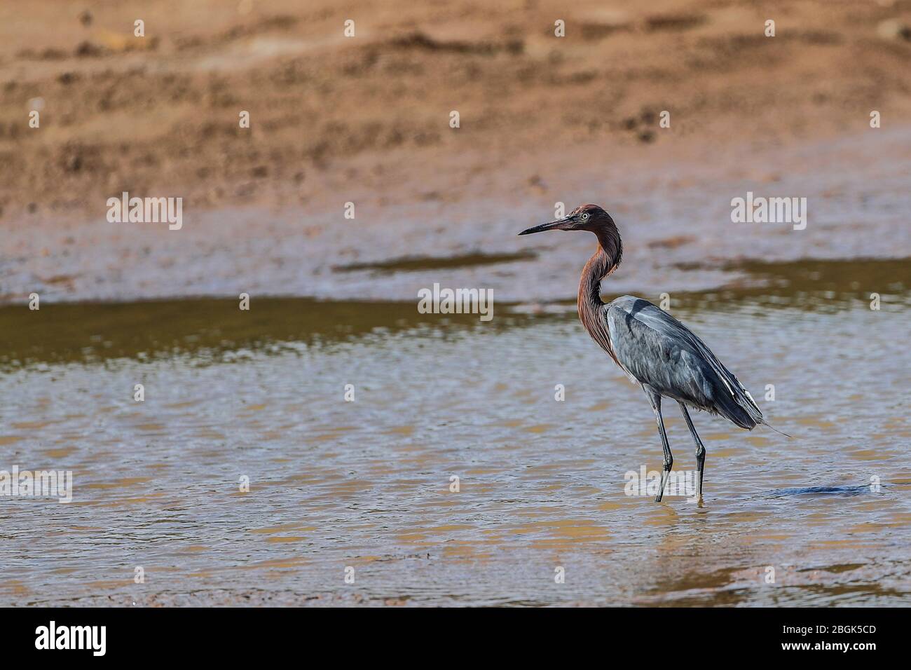 Marina gris hi-res stock photography and images - Alamy