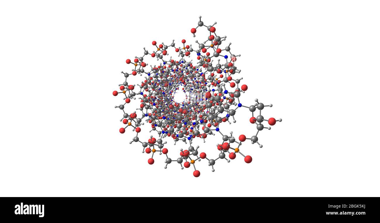 Deoxyribonucleic acid or DNA is a molecule that carries most of the ...