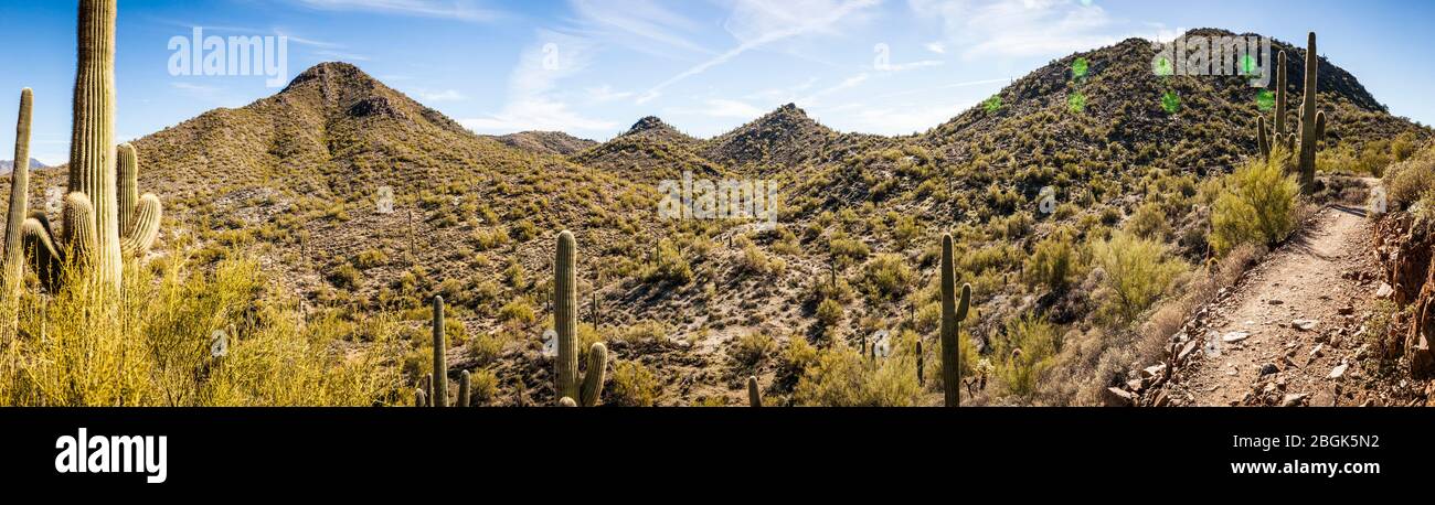 A panorama in the Apache Wash section of the Phoenix Sonoran desert ...