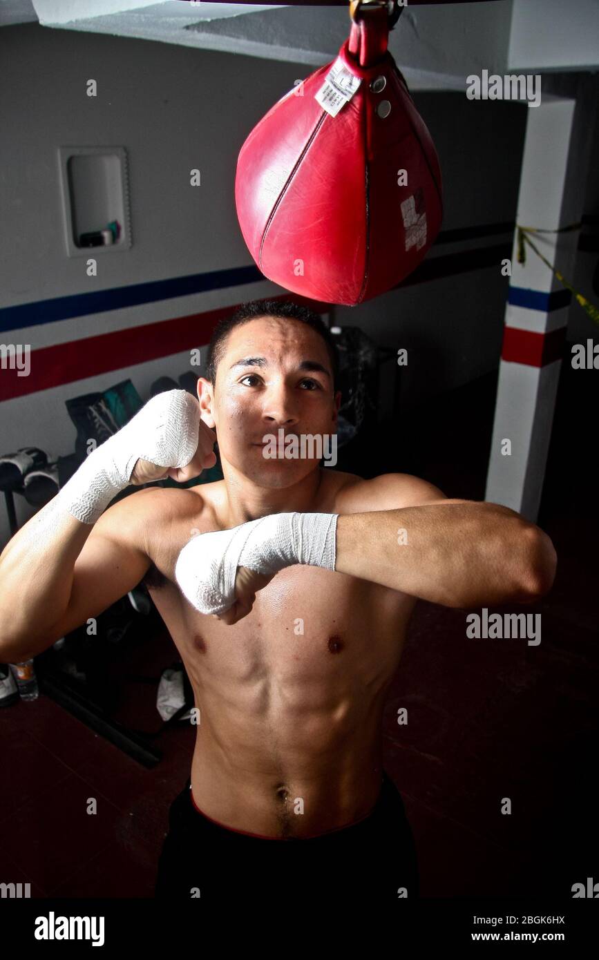 Juan Francisco Estrada. Mexican professional boxer, professional boxer ...