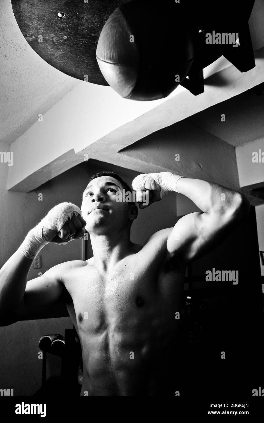 Juan Francisco Estrada. Mexican professional boxer, professional boxer ...