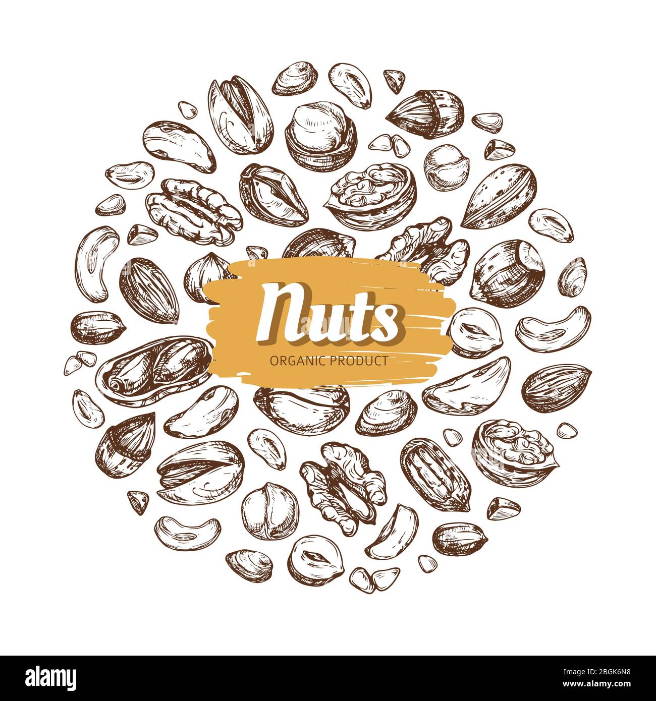 Eating nut label. Hand drawn nuts and seeds vector emblem isolated on ...
